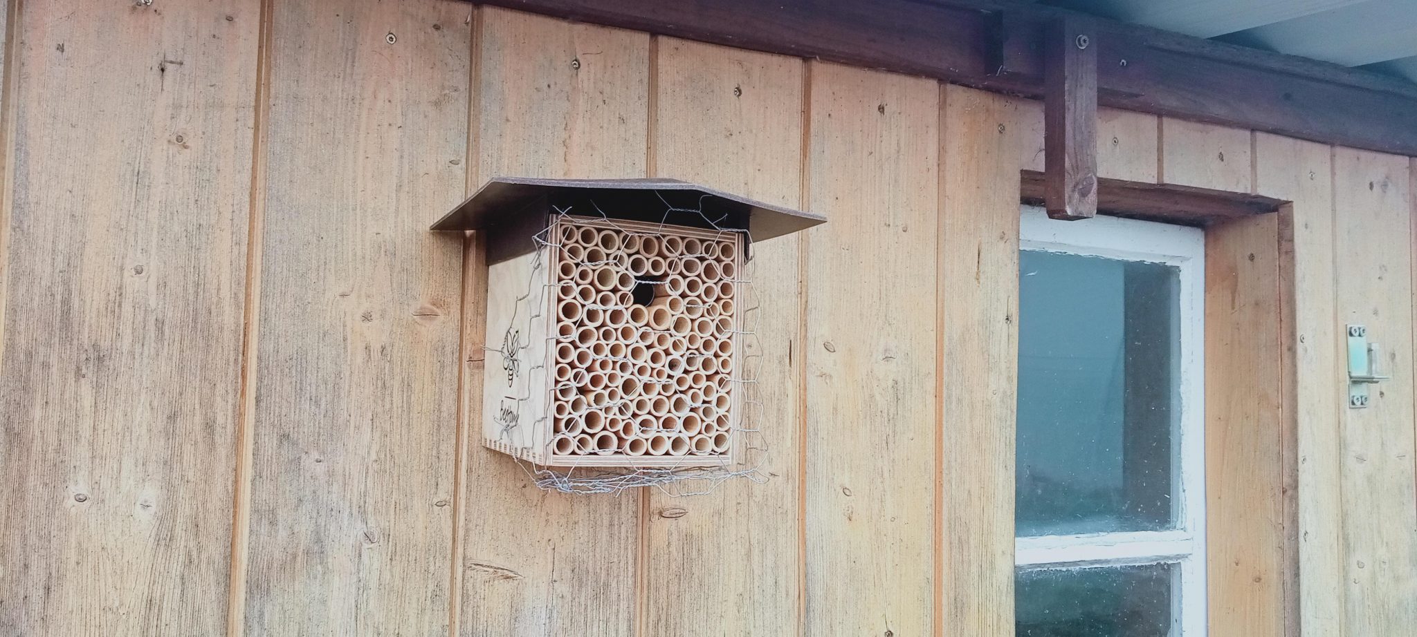 Mauerbienen ziehen auf den Acker – Solawi Bodensee e.V.